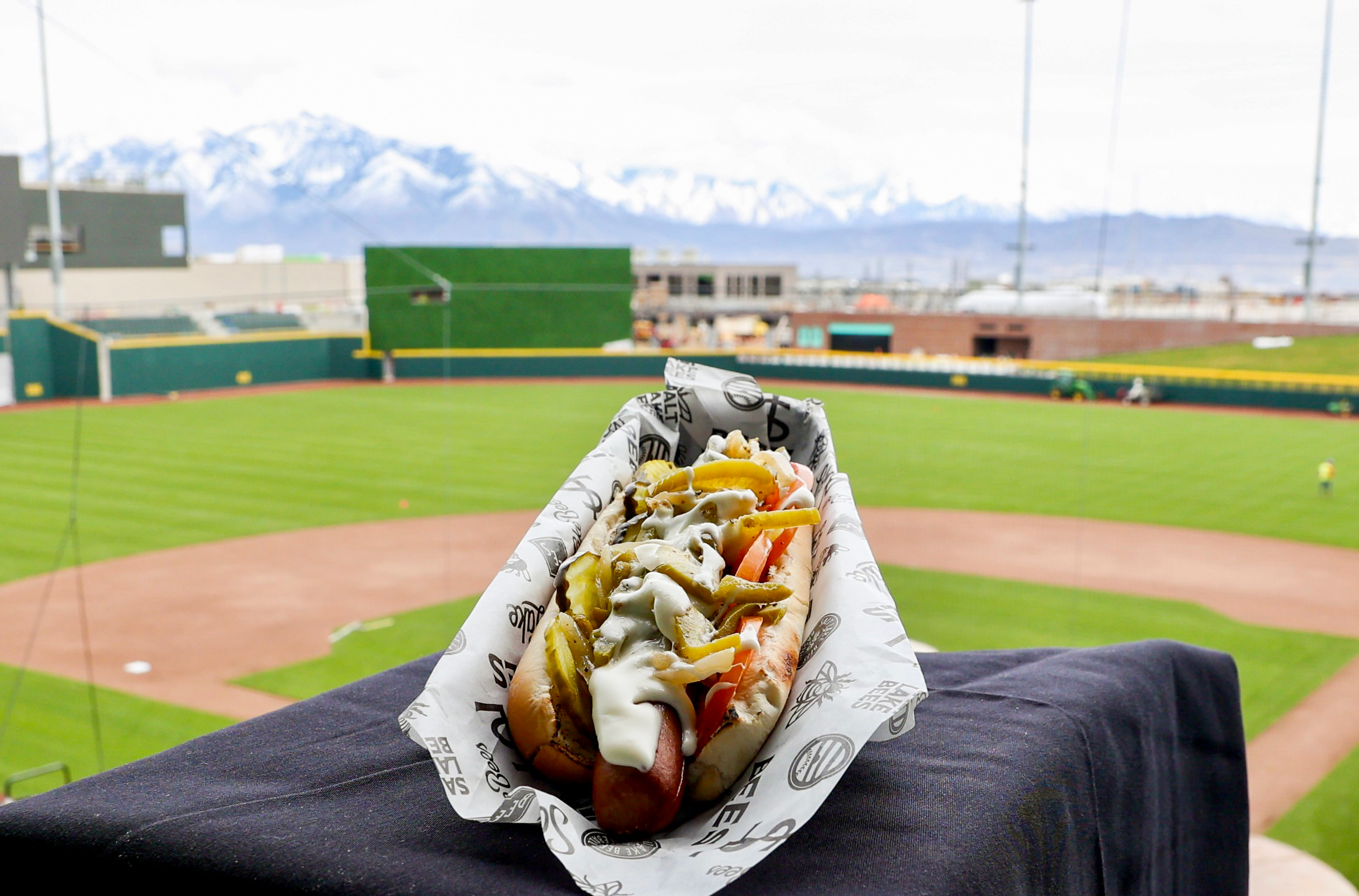 Levy Teams Up with the Salt Lake Bees to Create Buzzworthy New Ballpark ...